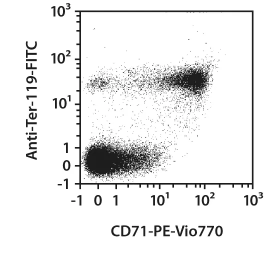 CD71 Antibody, anti-mouse, REAfinity™ | Miltenyi Biotec | USA