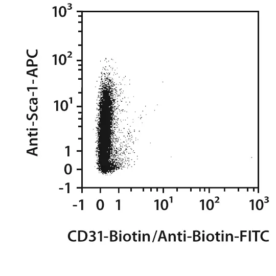 Cardiac Progenitor Cell Isolation Kit (Sca-1), mouse | Miltenyi Biotec ...