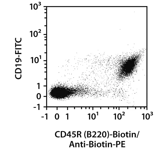 CD45R (B220) Antibody, anti-mouse, REAfinity™ | Miltenyi Biotec | USA
