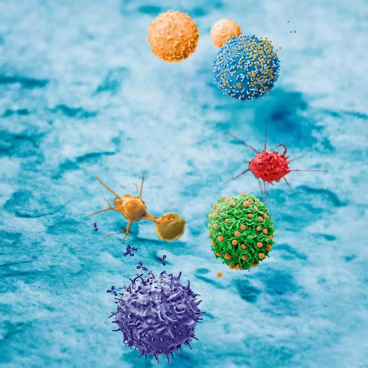 NK Cell Products | Cell isolation, culture and analysis | Miltenyi ...