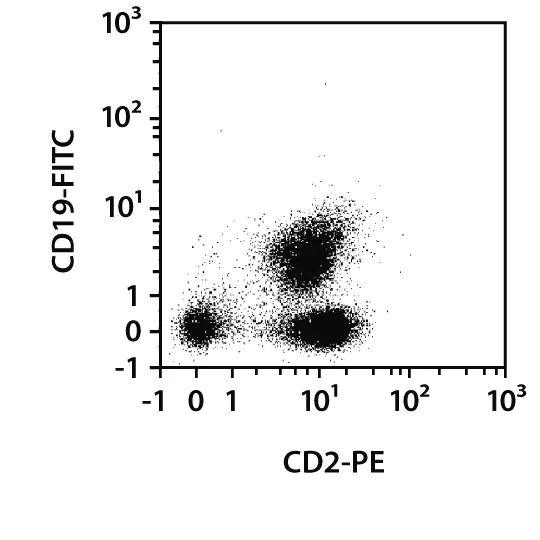 CD2 Antibody, anti-mouse | Miltenyi Biotec | USA