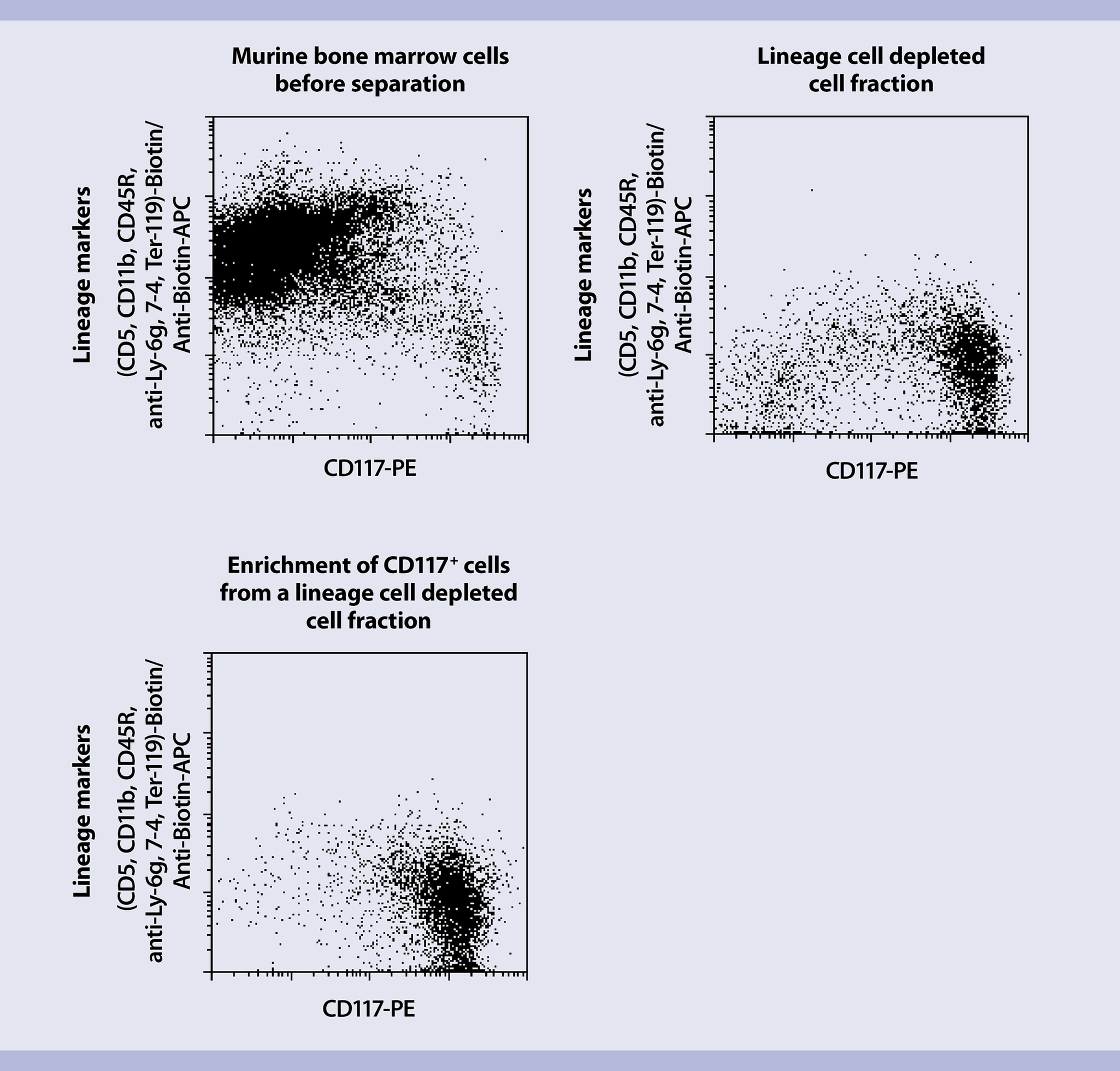 Mouse hematopoietic stem and progenitor cells | Protocol | Miltenyi ...