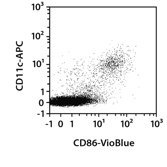 CD86 Antibody, anti-mouse | CD86 Antibody, anti-mouse | Miltenyi Biotec ...