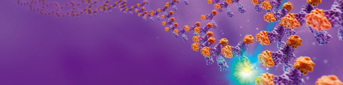 Recombinant Antibodies | REAfinity™ Antibodies | Miltenyi Biotec | 中国