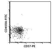 CD8+ Memory T Cell Isolation Kit, human | Miltenyi Biotec | 中国