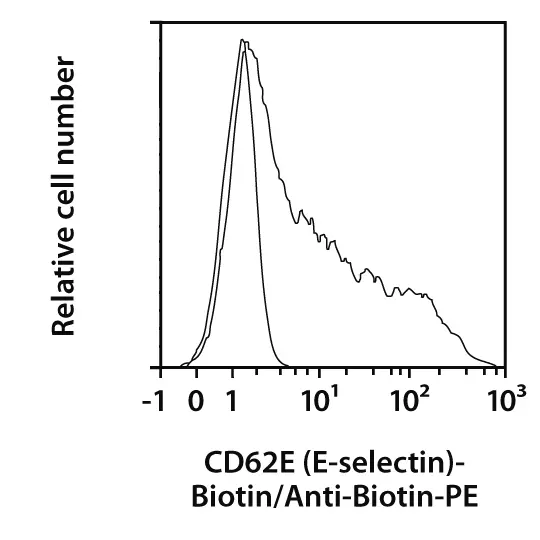 CD62E Antibody, anti-human, REAfinity™ | Miltenyi Biotec | USA