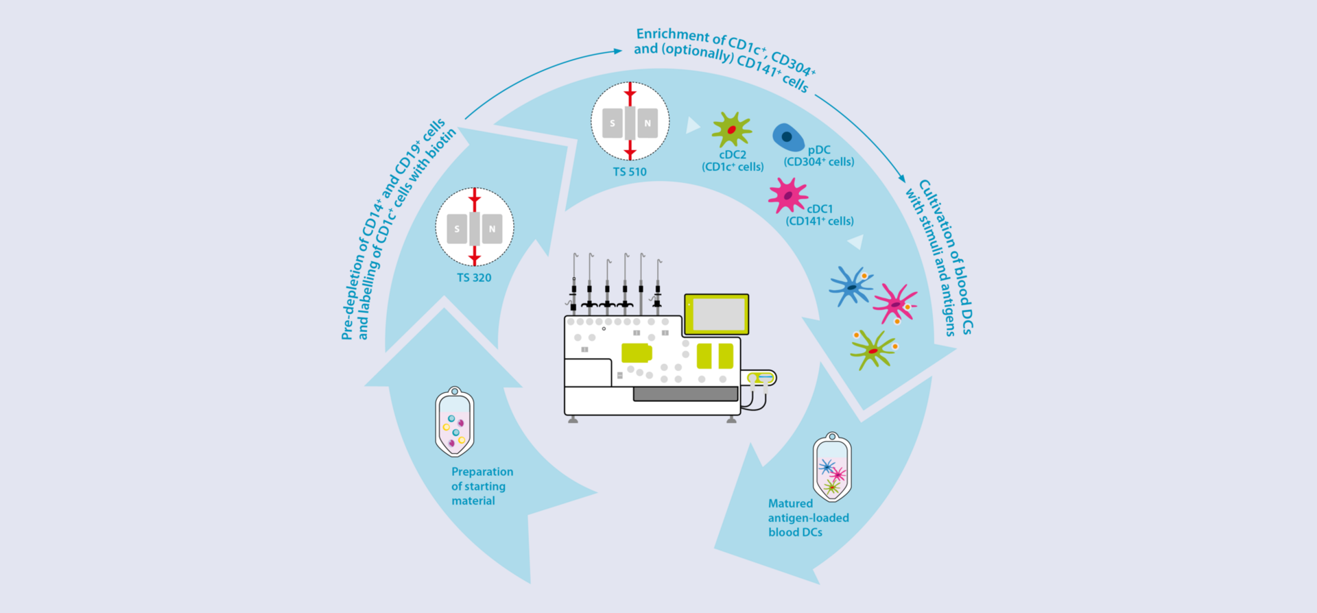 Blood dendritic cells manufacturing | Biotin labeling | Miltenyi ...