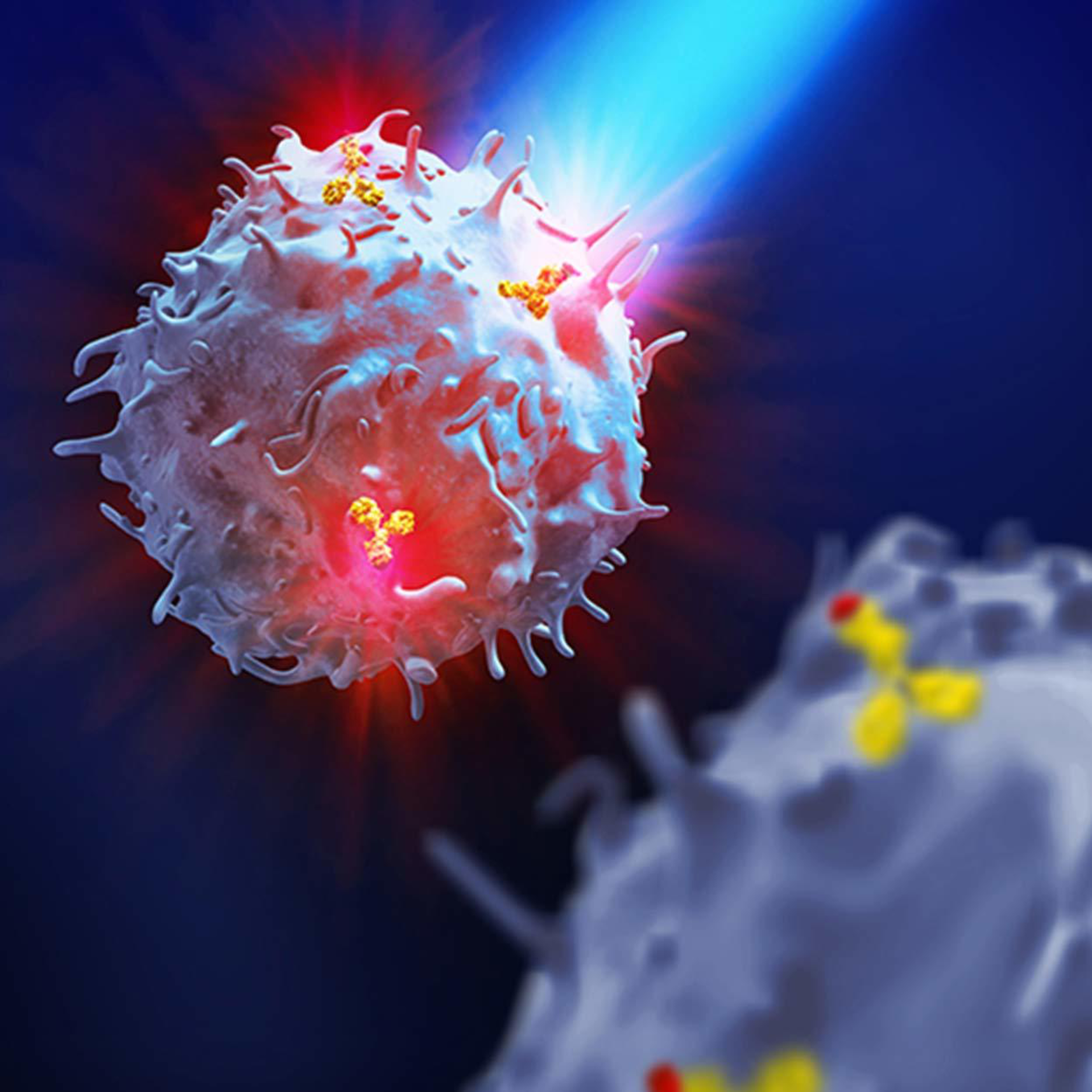 Antibodies | Products | Miltenyi Biotec | USA