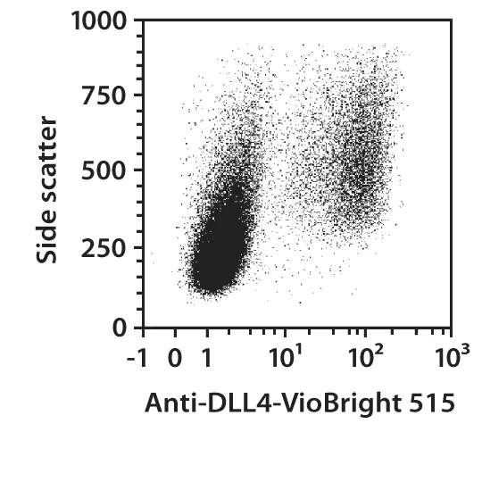 DLL4 Antibody, anti-mouse, REAfinity™ | Miltenyi Biotec | India