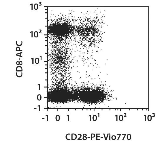 CD28 Antibody, anti-human | Miltenyi Biotec | USA