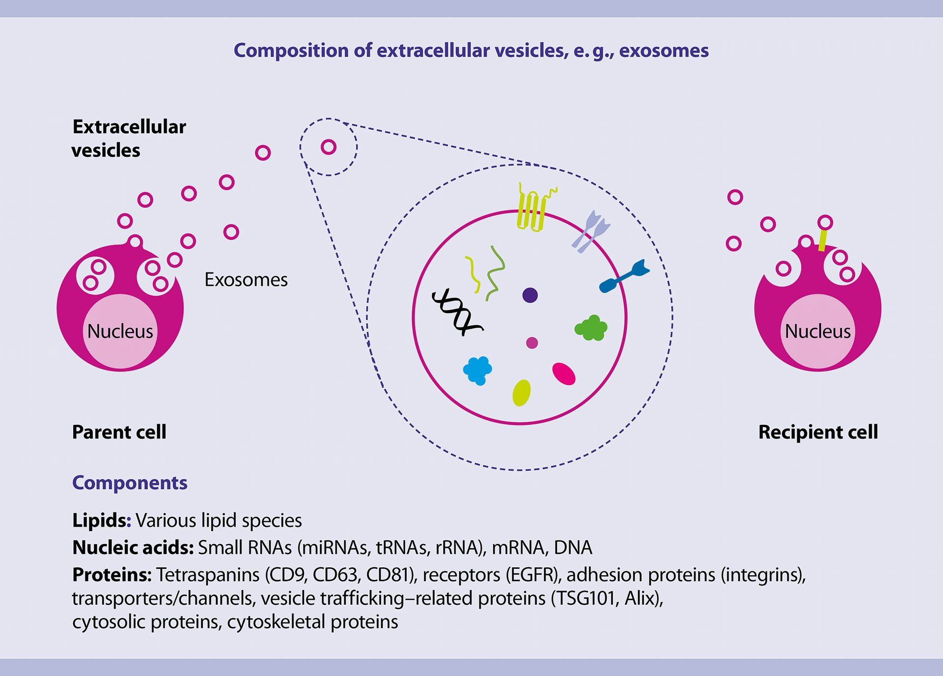 Tumor cells (human) | Miltenyi Biotec | Lëtzebuerg