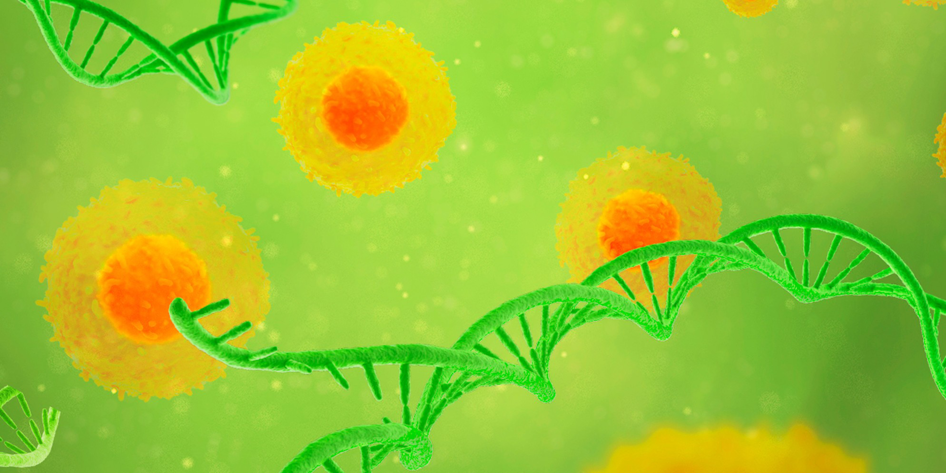 Tumor-reactive T cells | T cell functionality | Protocol | Miltenyi ...